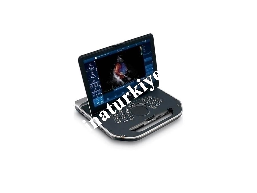 GE Vivid İQ Premium / Basic 2D ve 4D Taşınabilir Ekokardiyografi Cihazı ...