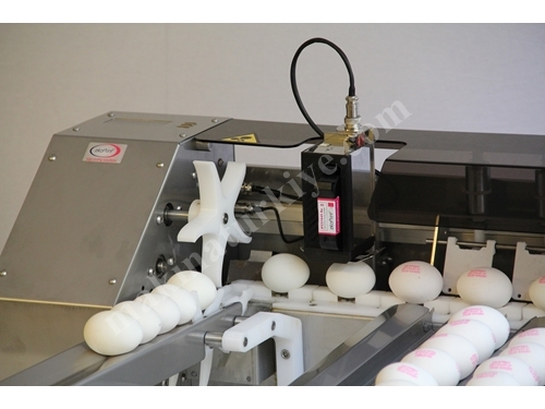 4 Satır Yumurta Tasnif Ve İnkjet Kodlama Makinesi Ekoprint D-30 | makinaturkiye.com