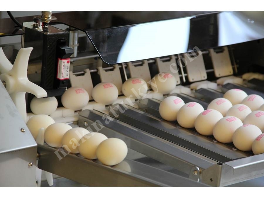 4 Satır 6 Boy Tasnif Yumurta Kodlama Makinesi Ekoprint D30 | makinaturkiye.com