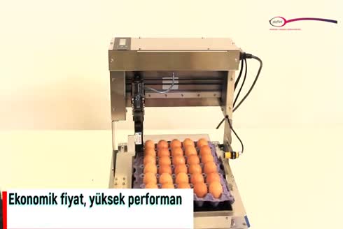 EP 111 (4 Satır) Yumurta Baskı Makinesi | makinaturkiye.com